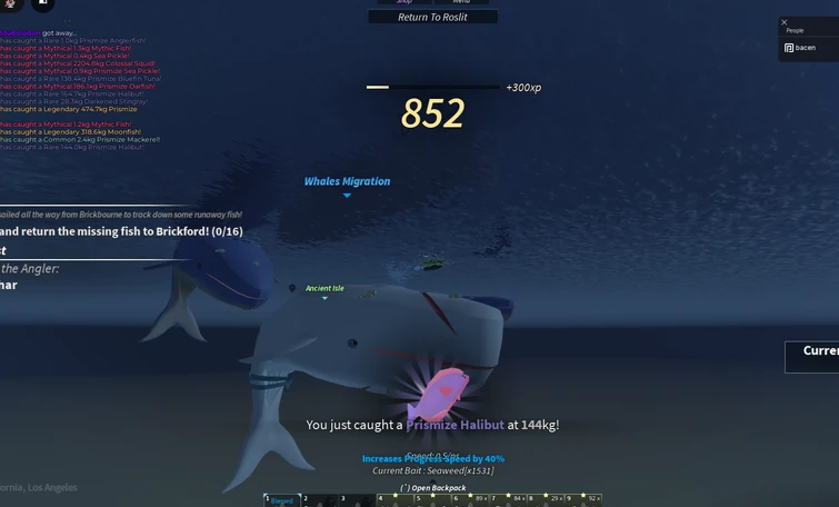 Discuss Everything About Fisch Wiki | Fandom