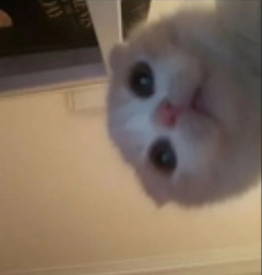 random rant | Fandom