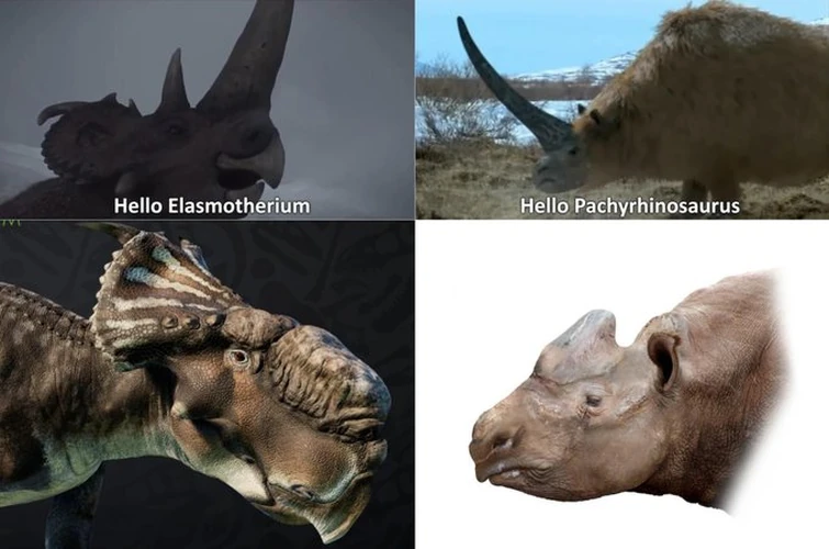 insert creative title | Fandom