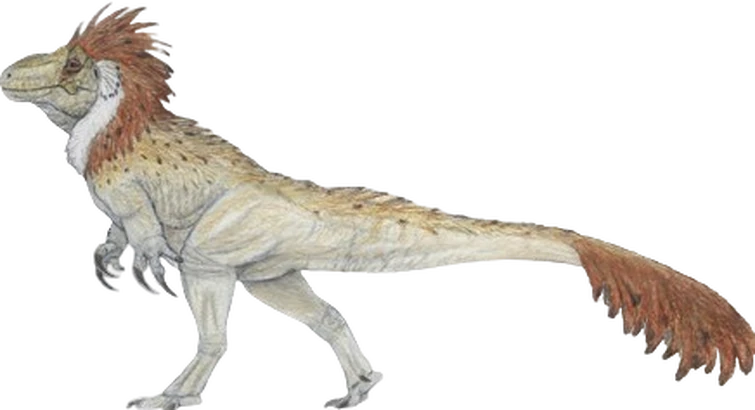 Kaimere Tournament Round 1 4/16 | Fandom