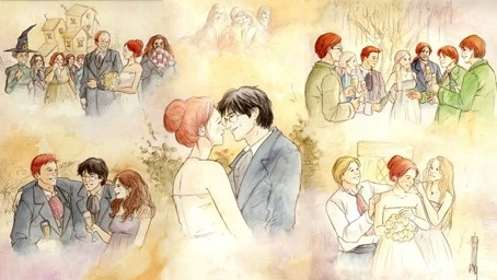Harry and Ginny's wedding | Fandom