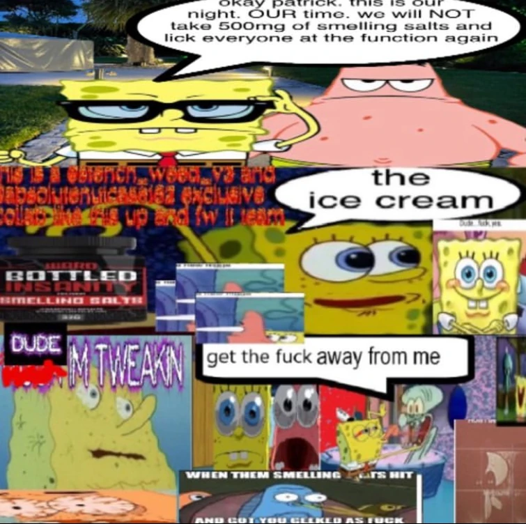 Absolutenutcase memes | Fandom