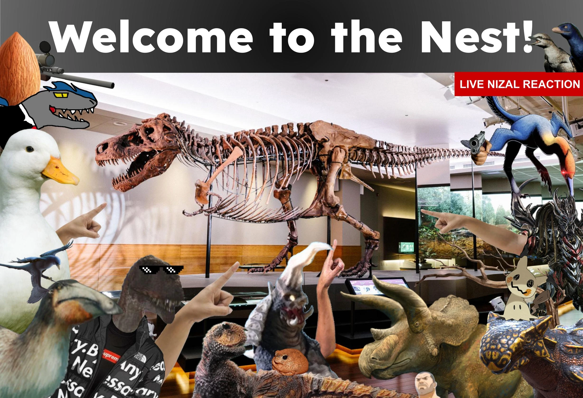 The Nest (Off-Topic Thread #69420) | Fandom