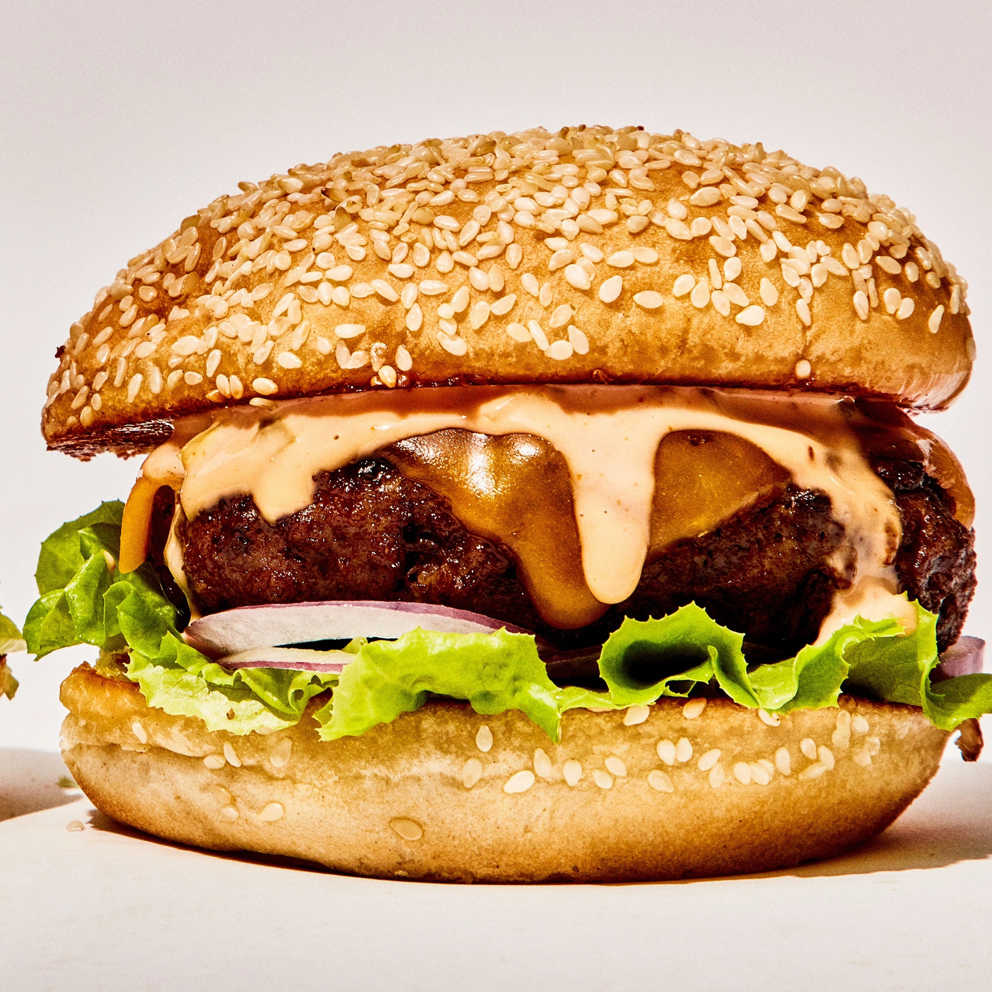 Mmmmmm Burger nomnomnomnomnomnom | Fandom