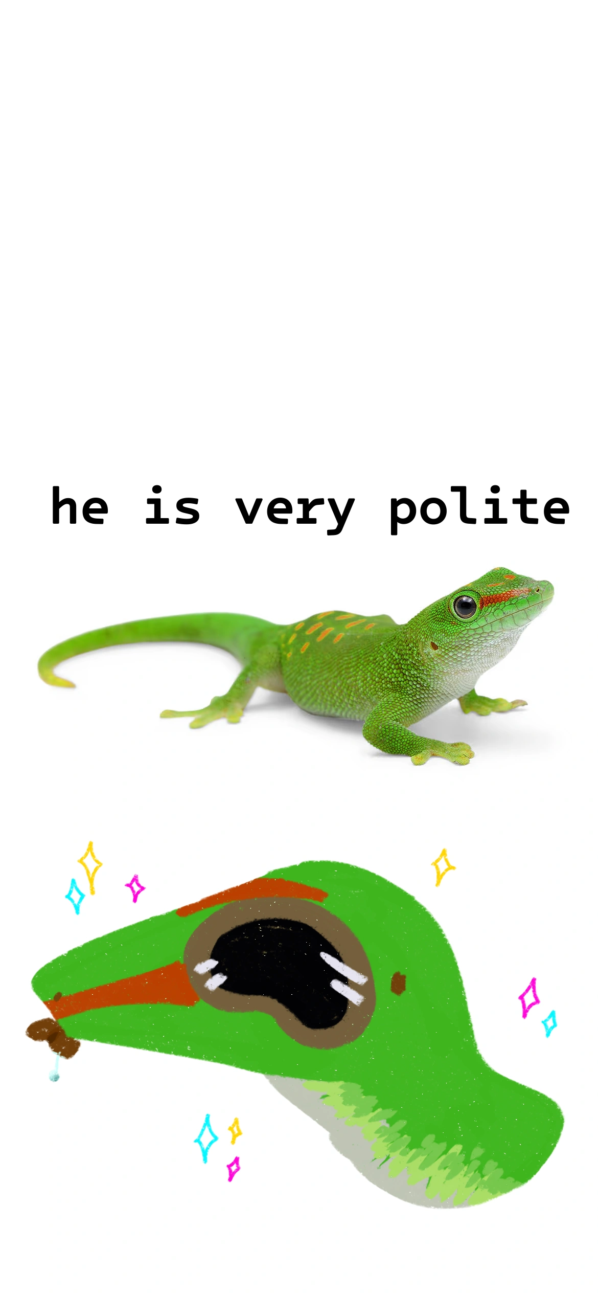 he is very polite | Fandom