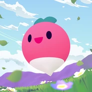 Dadish Collection | Dadish Wiki | Fandom