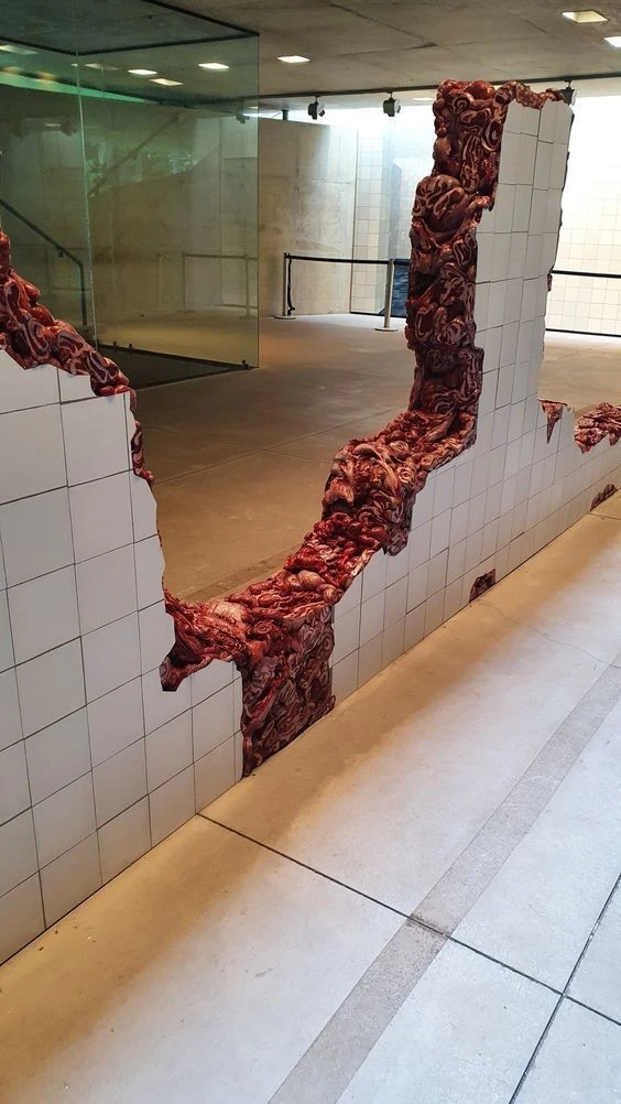 D.A.E-005 | Wiki D.A.E Organization | Fandom