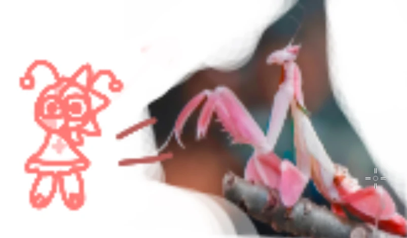 ECLIPSE DOES NOT LOOK LIKE A PRAYING MANTIS RIGHT | Fandom