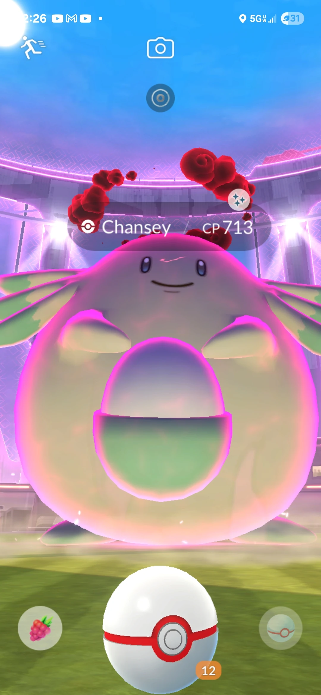 Shiny Dynamax Chansey! | Fandom