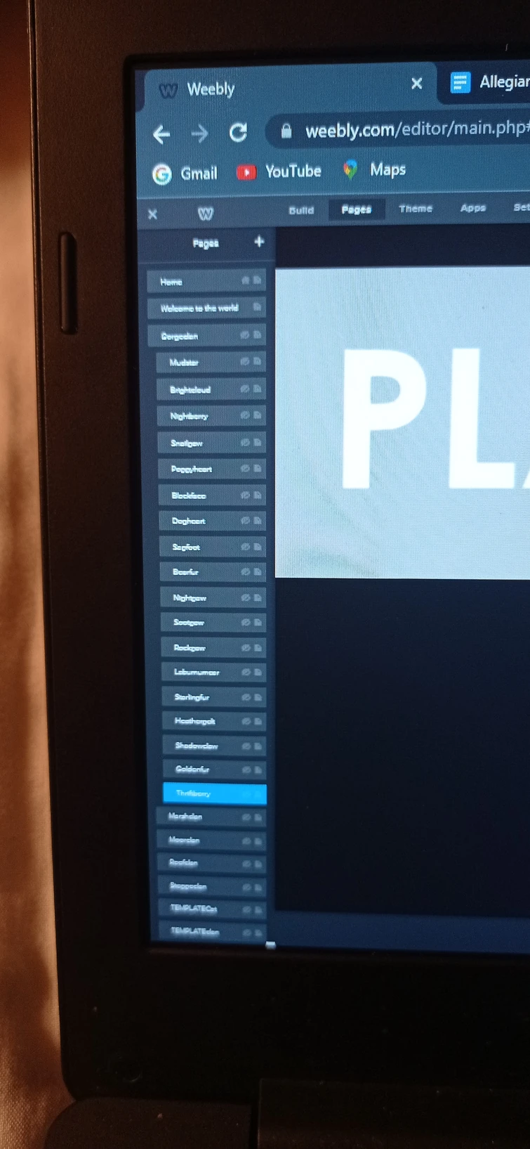 So many pages | Fandom