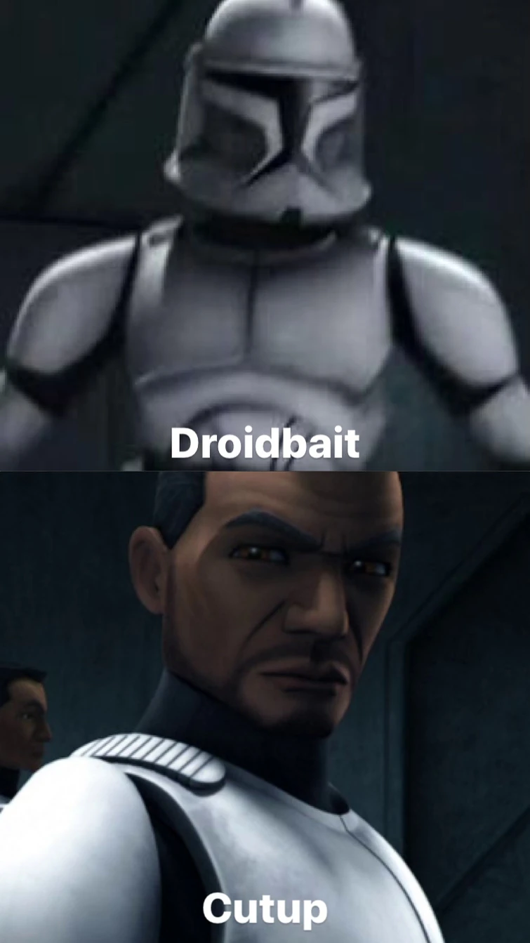 501st Clone battalion | Fandom