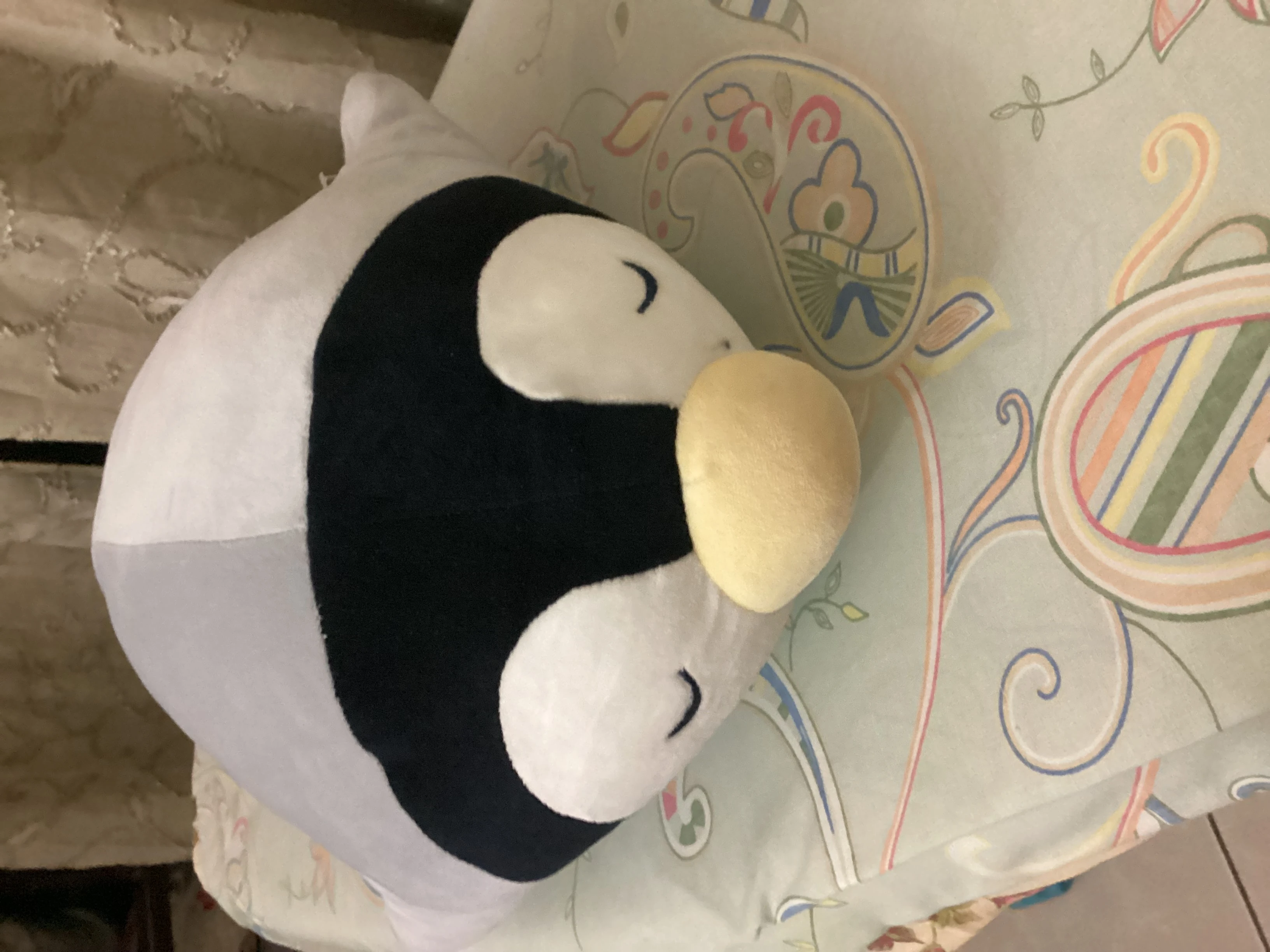 This is my plush penguinman say hi guys | Fandom