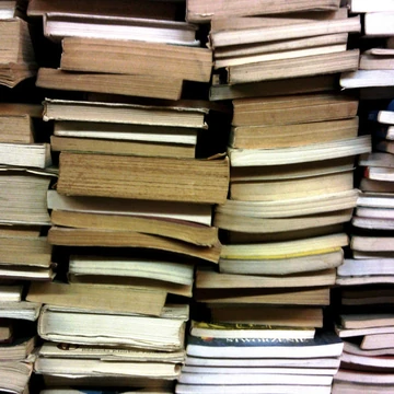 Daemon Golden Compass Wiki | Fandom