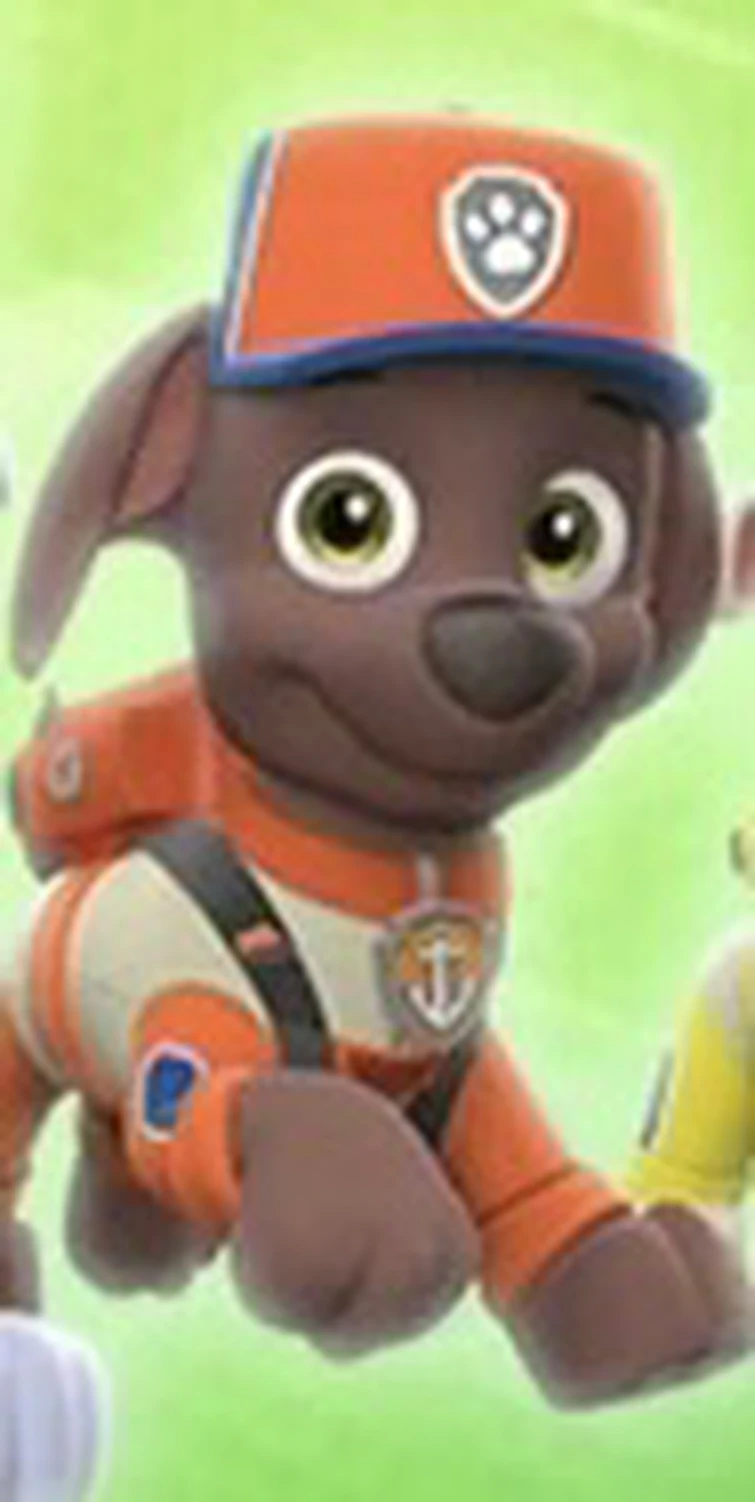 Zuma in a recycling outfit | Fandom