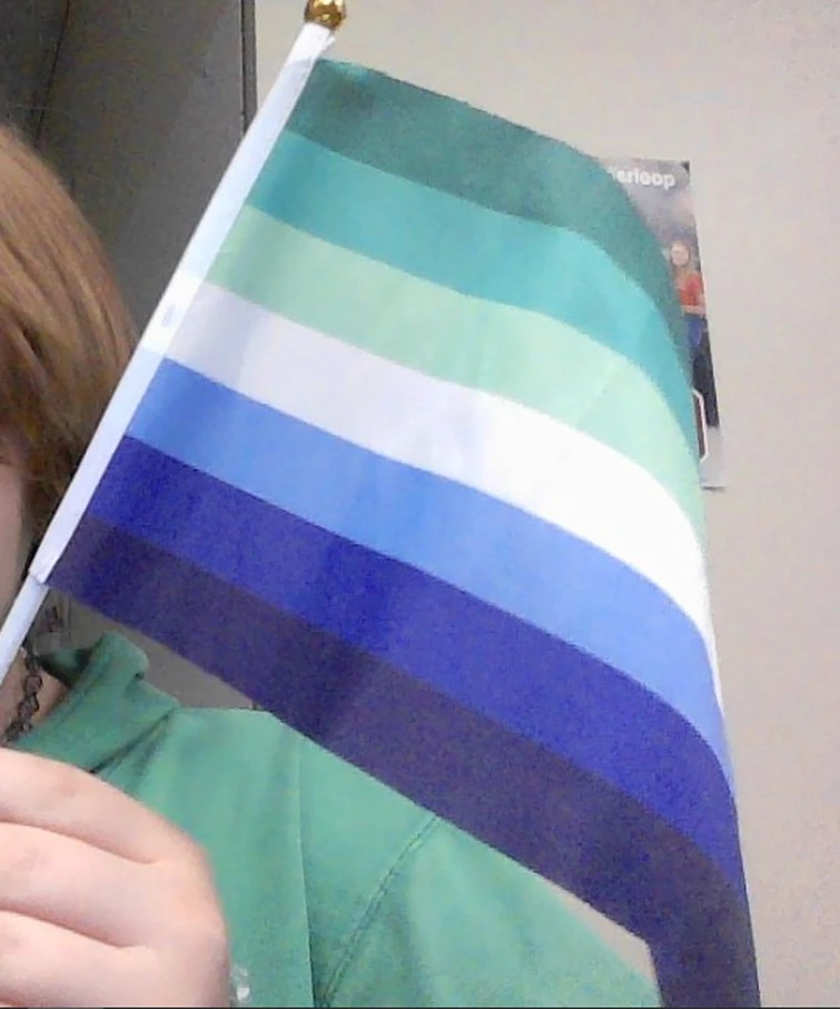 GUYZ LOOK AT MOI RLLY STRAIGHT STRAIGHT FLAG 👹👹/j | Fandom