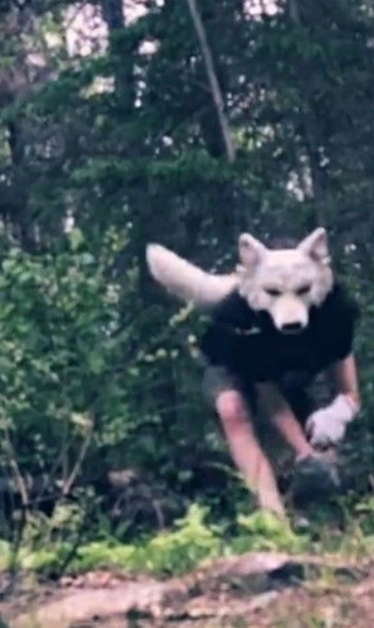 _pov_ you live in a forest and your a therian | Fandom