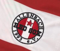 Red Sox 1993 Allenbach | Deutsches Fußball Archiv | Fandom