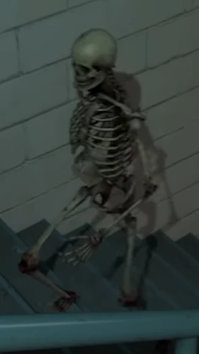Skel | Dafuq!?Boom! Wiki | Fandom