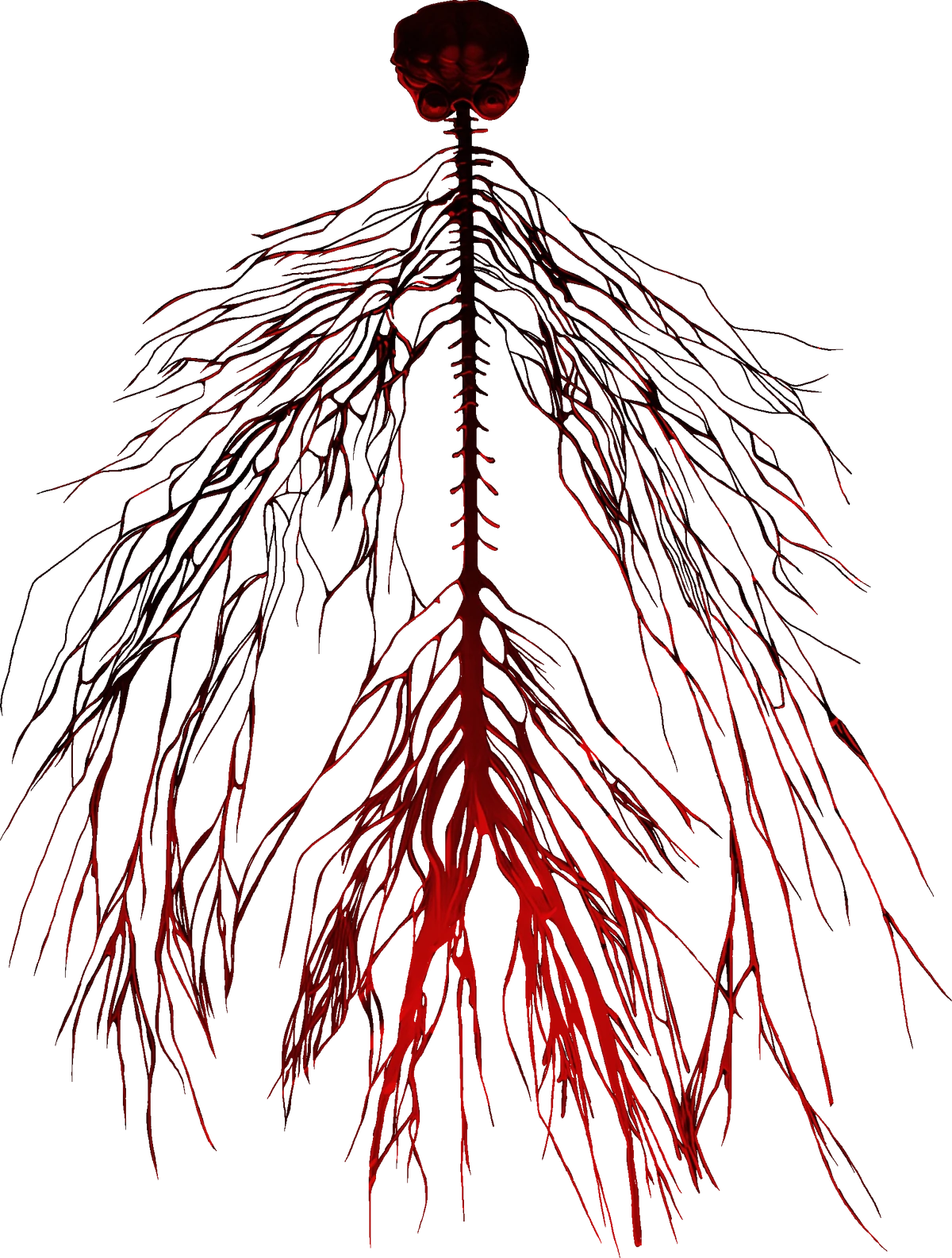 Jebodiah Valentin | DAGames Wikia | Fandom