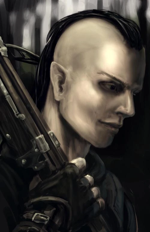 Demi-Elfes | Wiki Dajah | Fandom