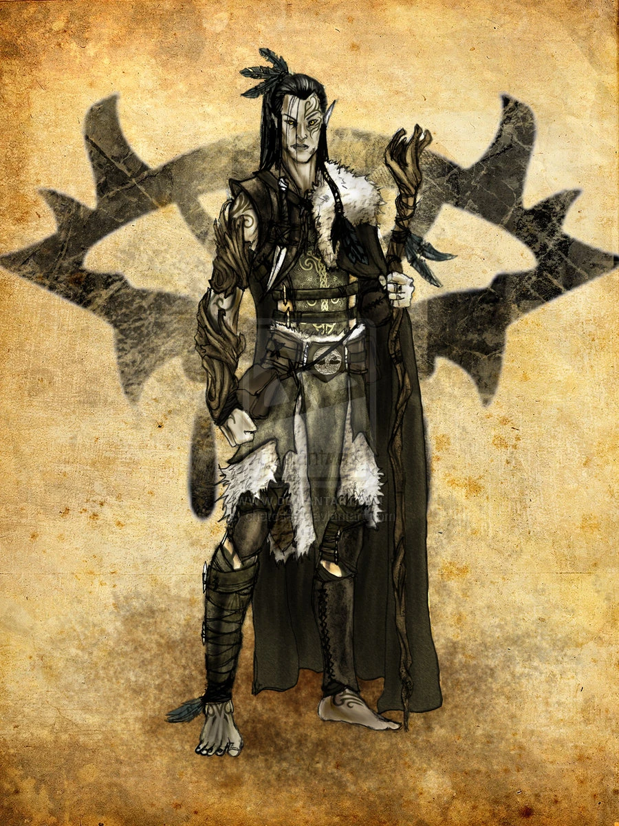 Le Druide | Wiki Dajah | Fandom