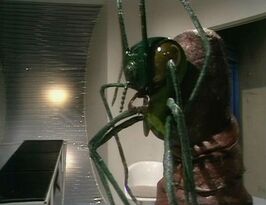 Wirrn | Dr Who Wiki | Fandom