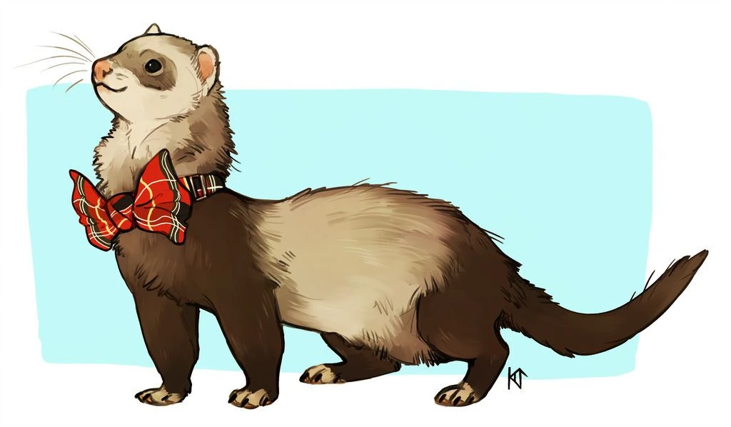 Frank the Ferret | Dalmatian BBQ Wiki | Fandom