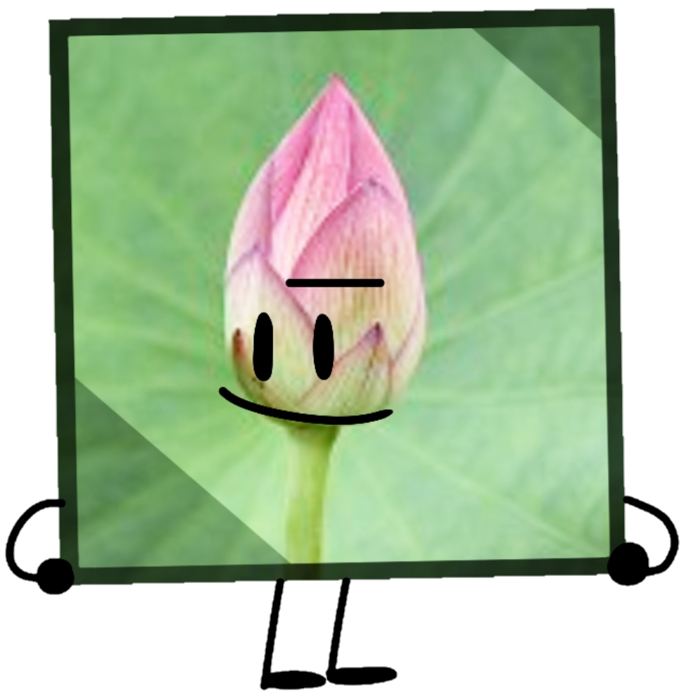 Example Dalp Wiki Fandom