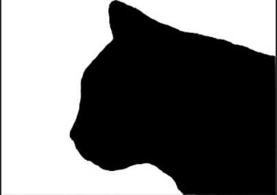 Roger (Frank Jorsh's Cat) | DAME Wiki | Fandom