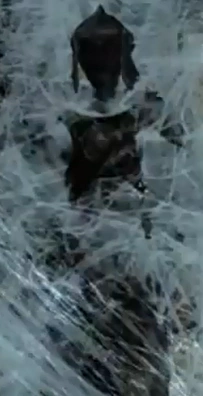 Arvel the Swift | The Official Damo Wiki | Fandom