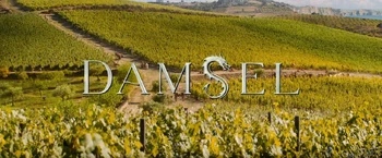 Damsel | Damsel Wiki | Fandom