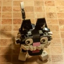 Lego Cat (character) | DanAtuch on YouTube Wiki | Fandom