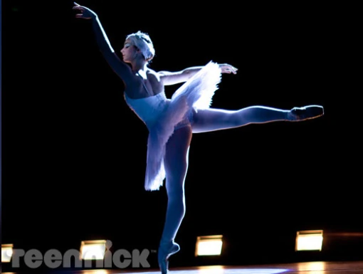 Perfection | Dance Academy Wiki | Fandom