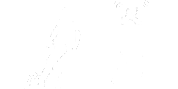 Cross Step Nono | Dance Central Wiki | Fandom