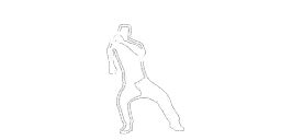 Bounce | Dance Central Wiki | Fandom