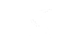 Direct | Dance Central Wiki | Fandom