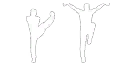 Kicking Falcon | Dance Central Wiki | Fandom