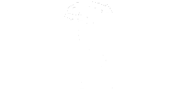 Heyo | Dance Central Wiki | Fandom