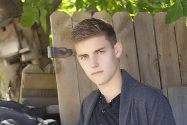 erno vertes profession