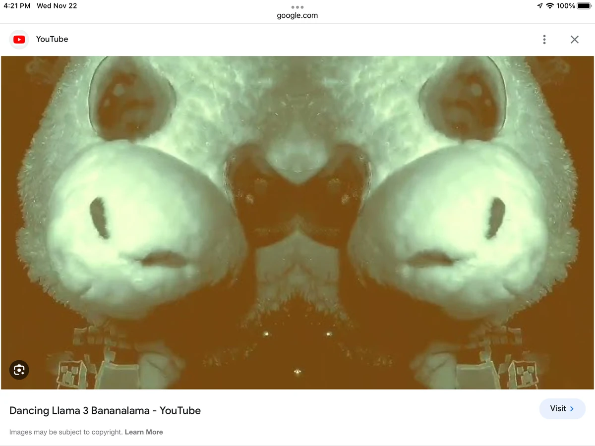 Dancing Llama 1 | Dancing Llama Wiki | Fandom