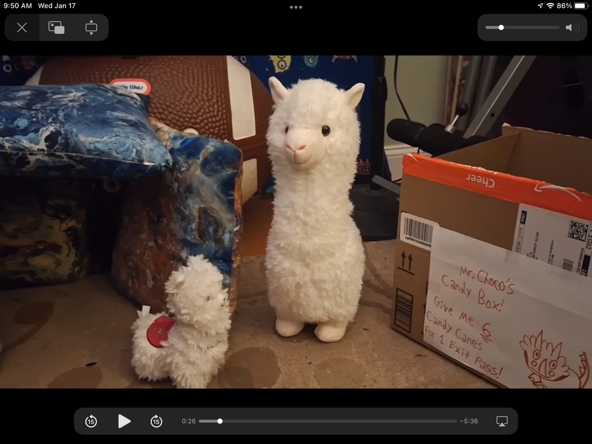 Christmas Time | Dancing Llama Wiki | Fandom