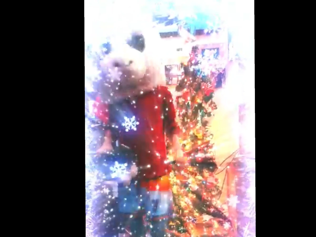 Christmas Special | Dancing Llama Wiki | Fandom
