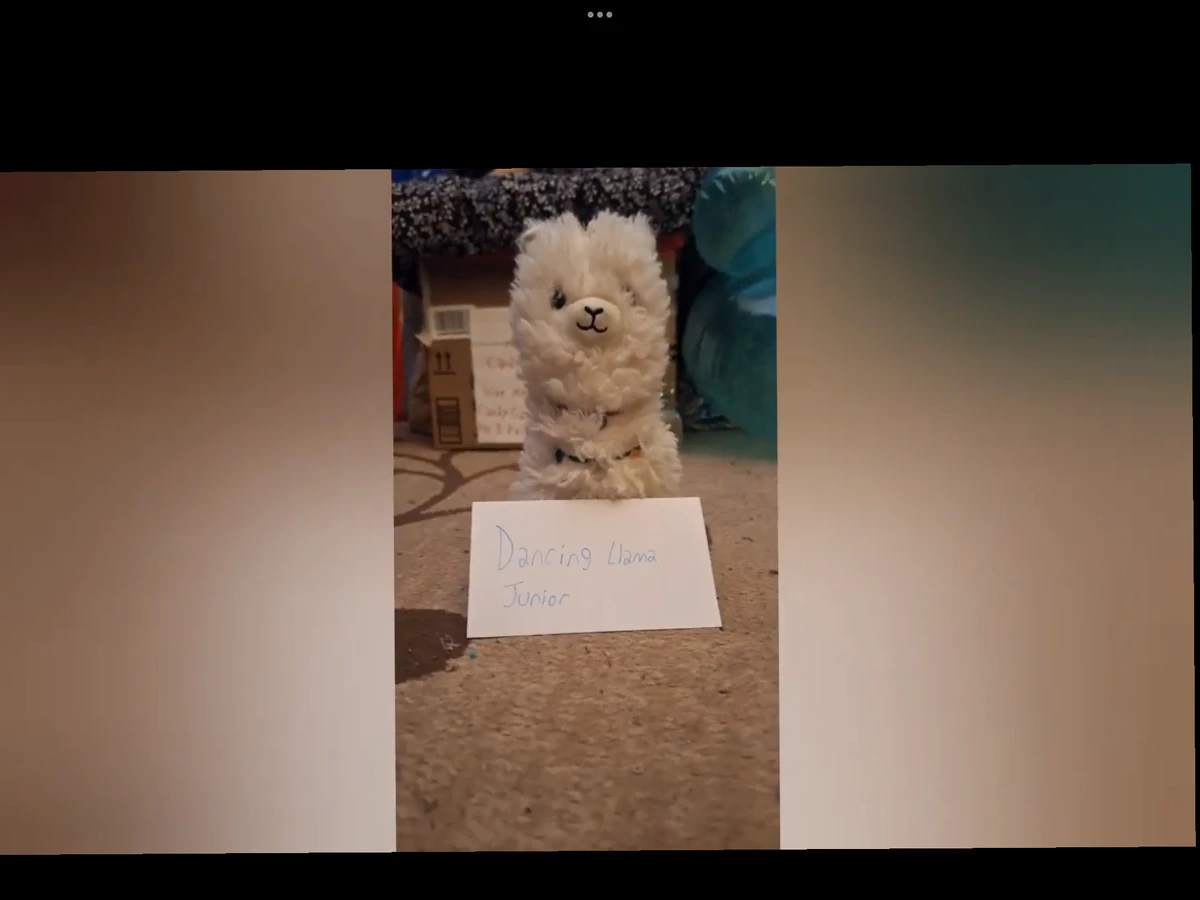 Dancing Llama Junior | Dancing Llama Wiki | Fandom
