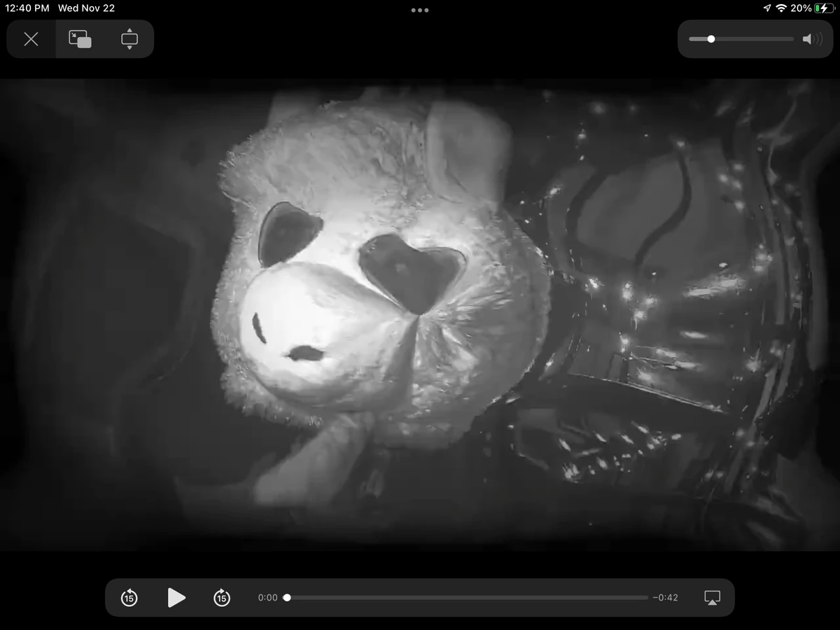 Dancing Llama | Dancing Llama Wiki | Fandom