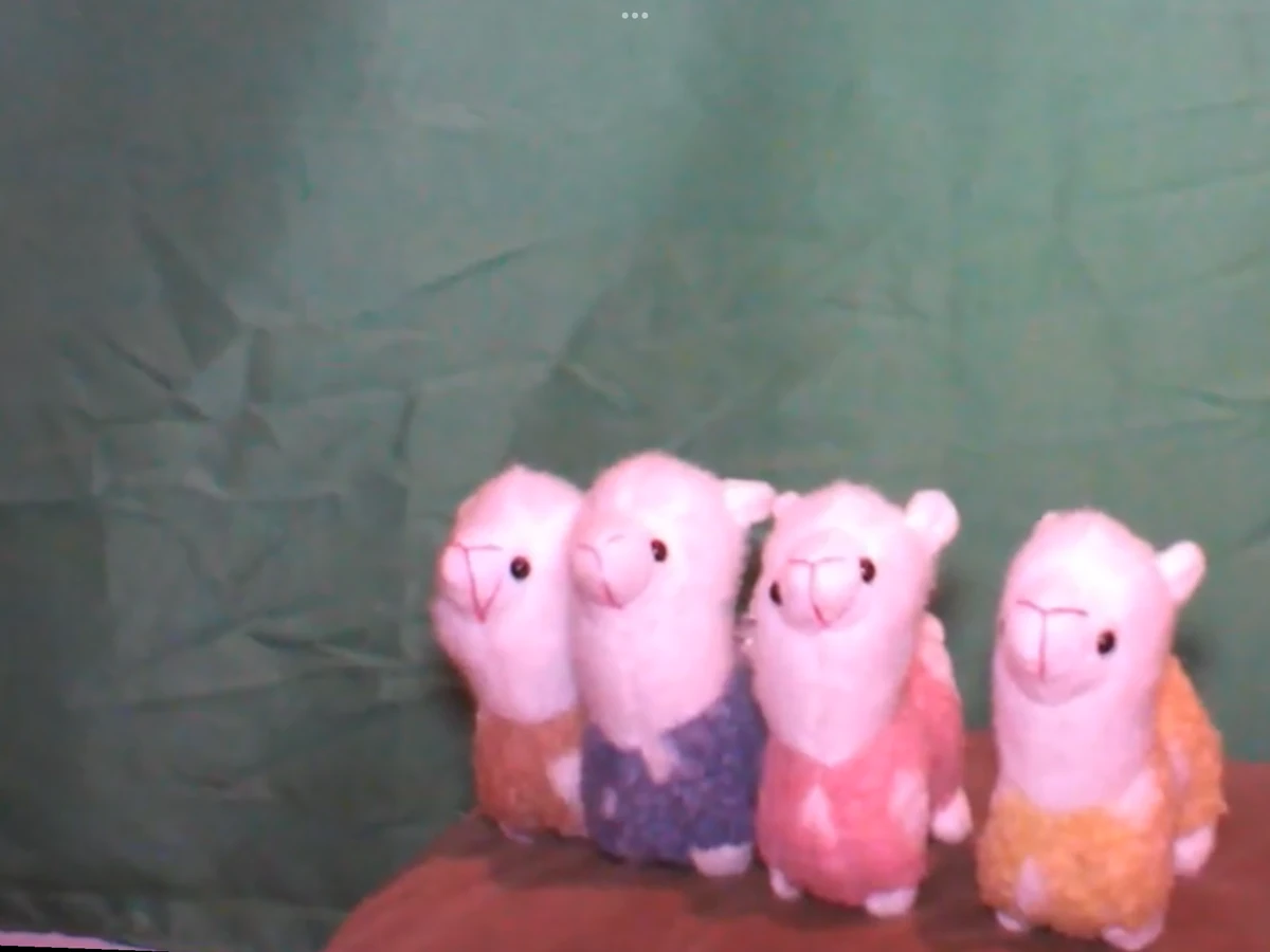 Mini Llamas | Dancing Llama Wiki | Fandom