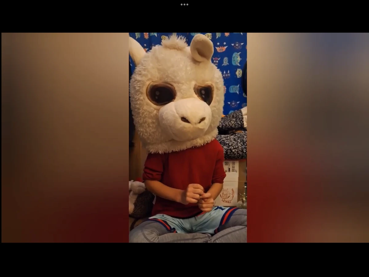 LlamaLand | Dancing Llama Wiki | Fandom