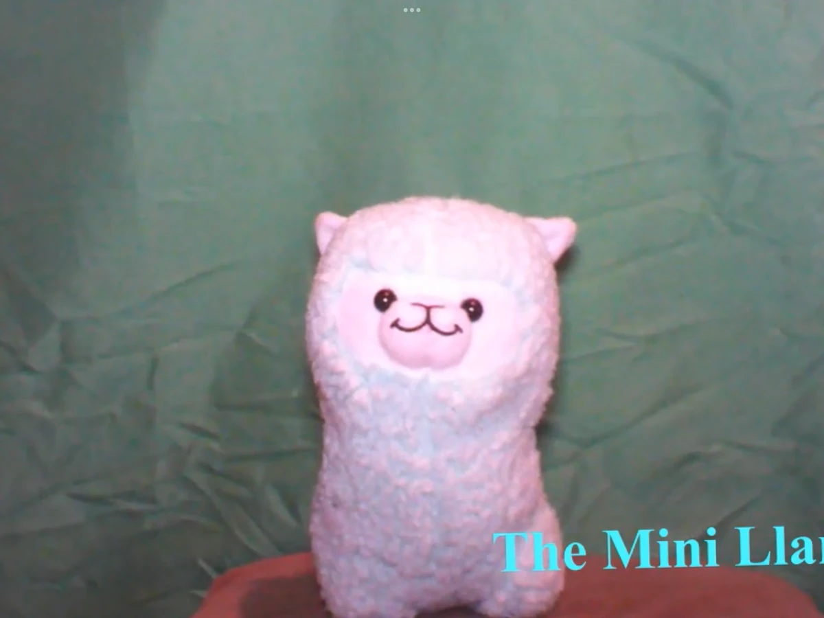 Mini Llama Queen Dancing Llama Wiki Fandom