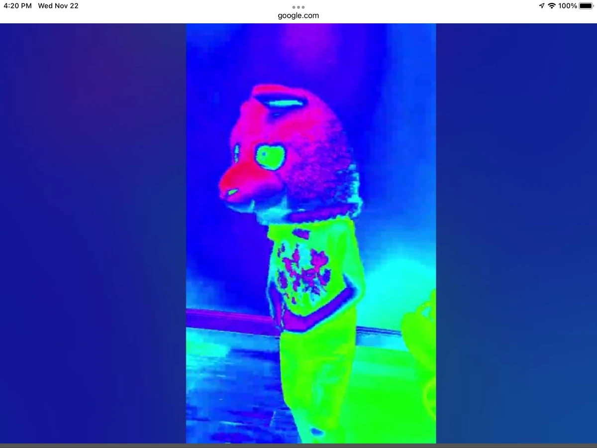 Dancing Llama 4 | Dancing Llama Wiki | Fandom