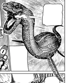 UMA | Dandadan Wiki | Fandom