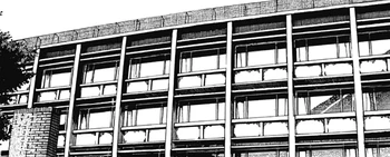 Kami High | Dandadan Wiki | Fandom